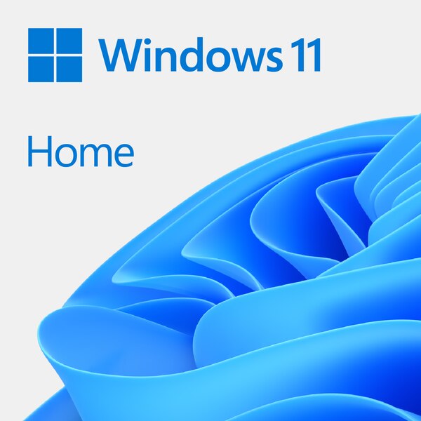Microsoft Windows 11 Home - Win ESD Perpetual License - 1 User ...