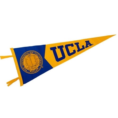 UCLA One Color Seal Felt Pennant | UCLA Store